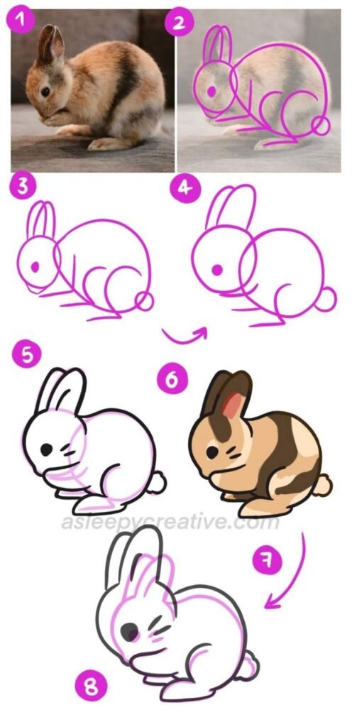 How to Draw Chibi Animals: A Step-by-Step Guide for Beginners