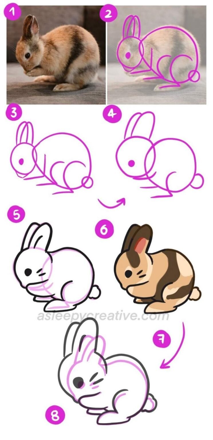 How to Draw Chibi Animals: A Step-by-Step Guide for Beginners