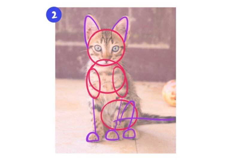 How to Draw Chibi Animals: A Step-by-Step Guide for Beginners