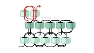 How to Brick Stitch: A Visual Guide (Foundations, Basics, Increases ...
